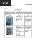 Insert FUTROLIT | PDF | Sains & Matematika