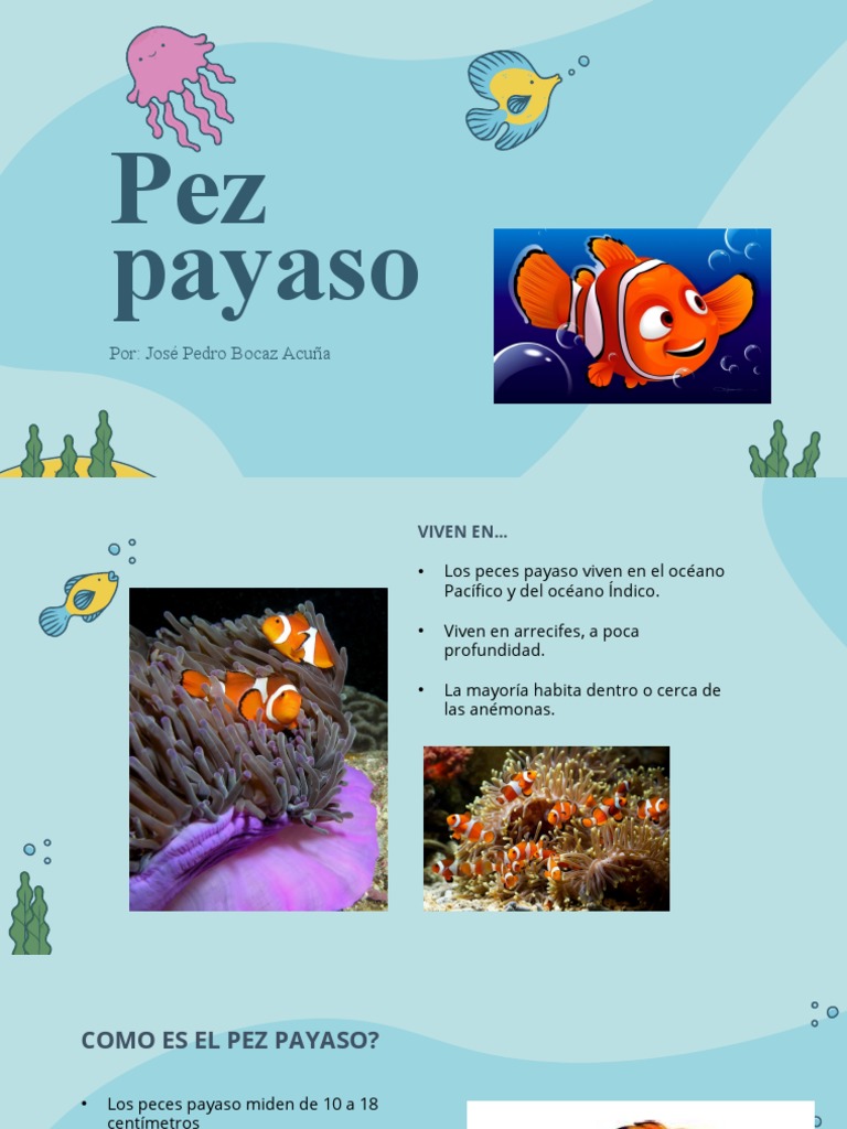 Pez Payaso2 | PDF | Cocina, comidas y vino | Hogar, jardinería y bricolaje