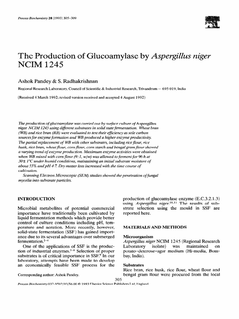 The Production of Glucoamylase by Aspergillus Niger NCIM 1245 | PDF | Flour | Wheat