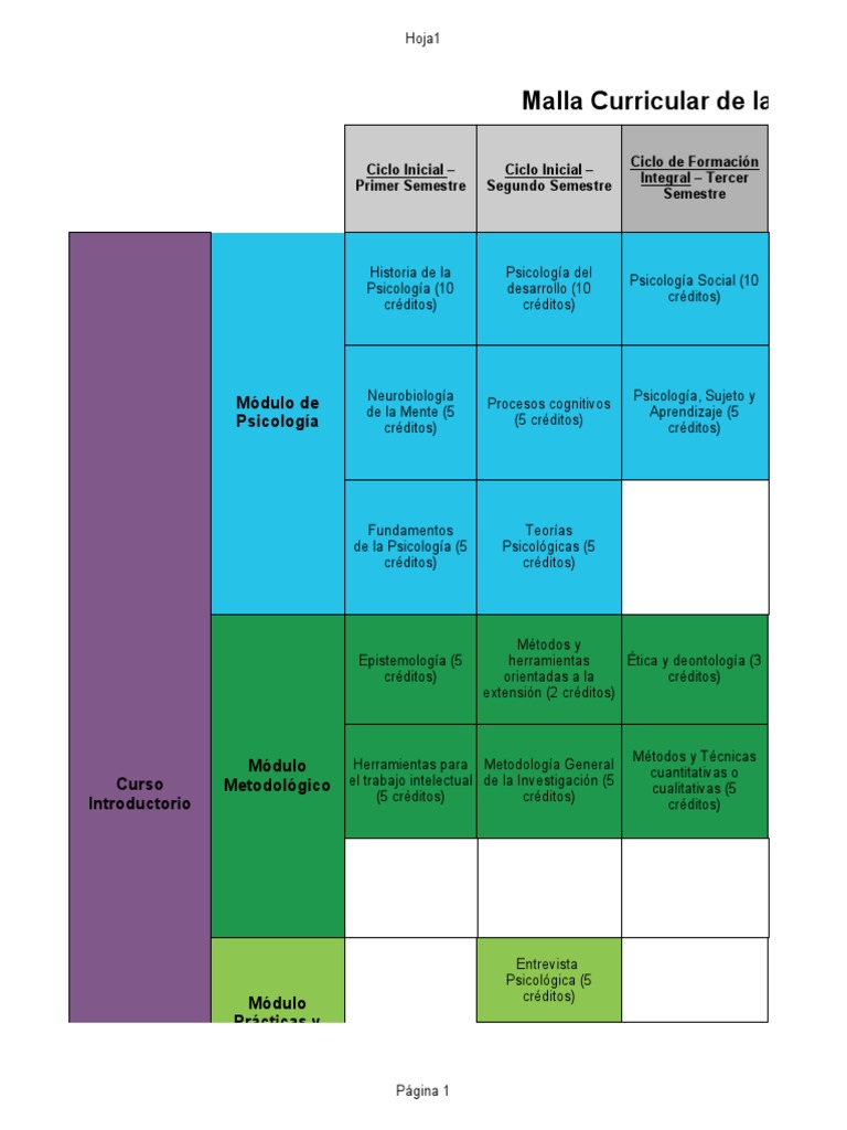 Malla Curricular - Plan 2013 | PDF | Sicología | Psicología clínica