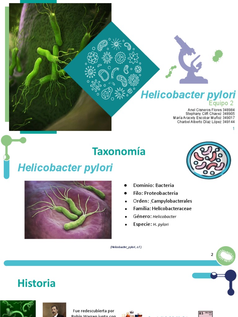 Helicobacter Pylori | PDF | Biología | Enfermedades y trastornos