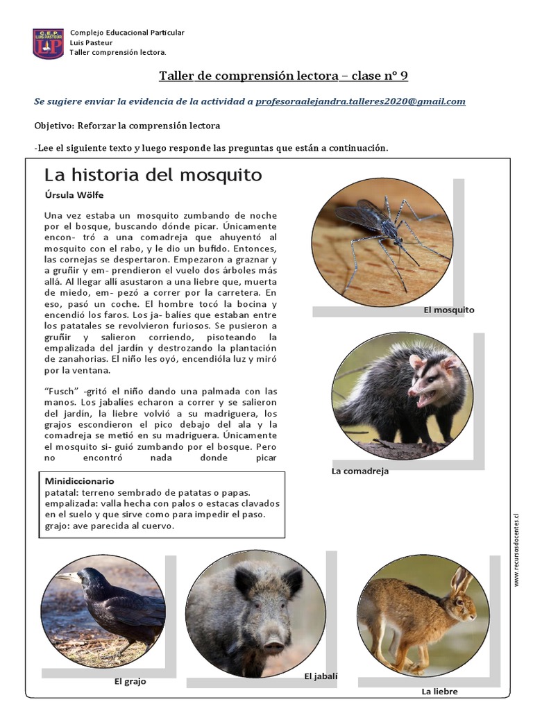 Actividad N°09 Taller de Comprensión Lectora 3°básico B | PDF