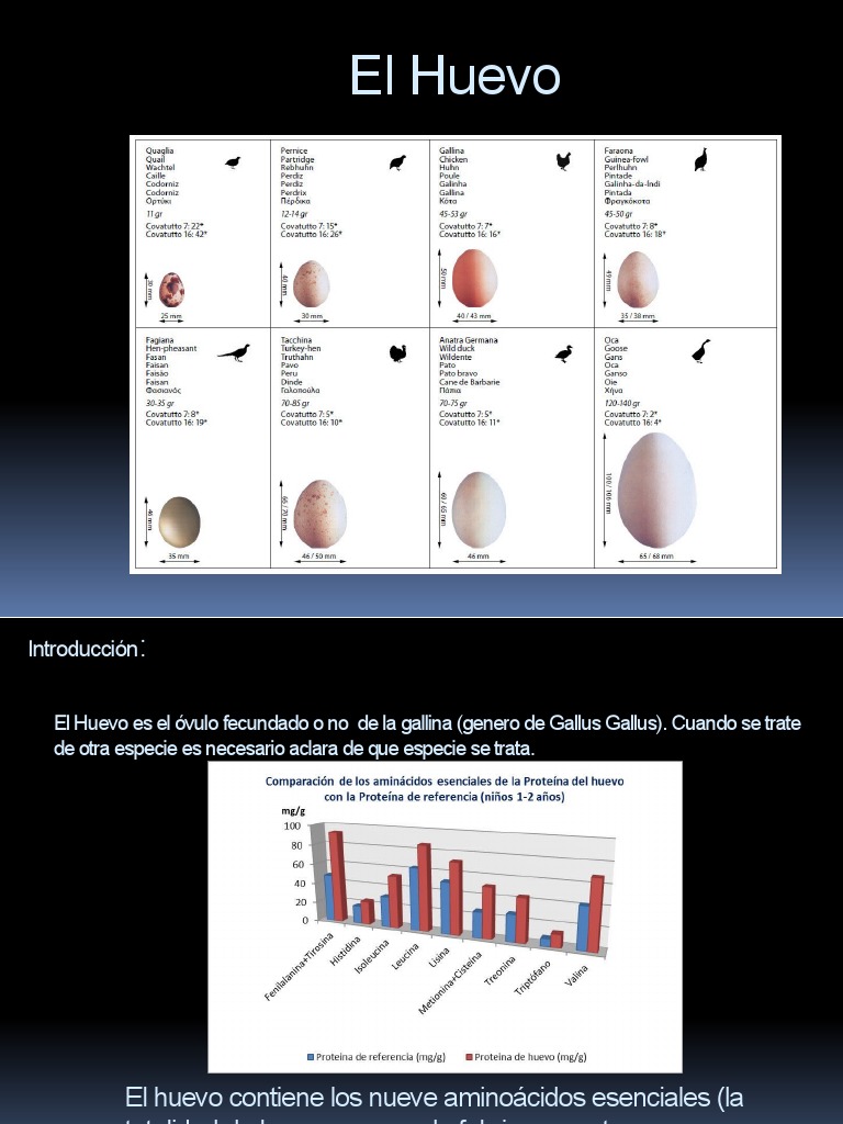 Huevo | PDF | Huevo como alimento | Yema de huevo