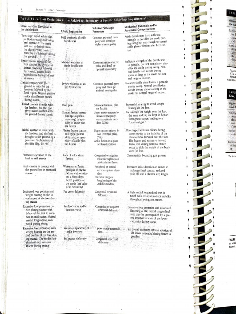 Gait Deviation | PDF | Anatomical Terms Of Motion | Foot
