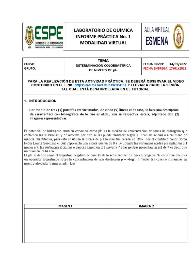 INFORME DE PRÁCTICA DE LABORATORIO PH | PDF | Ph | Ácido