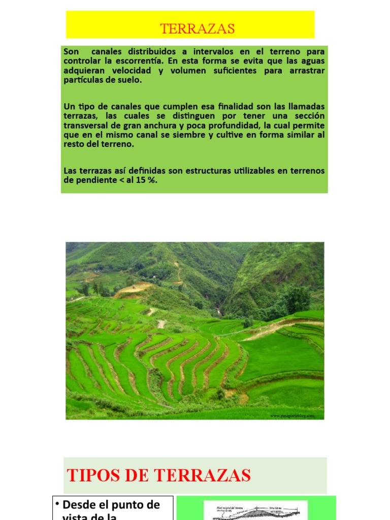 Diseño y Tipos de Terrazas Agrícolas | PDF | Horticultura | Ingeniero civil