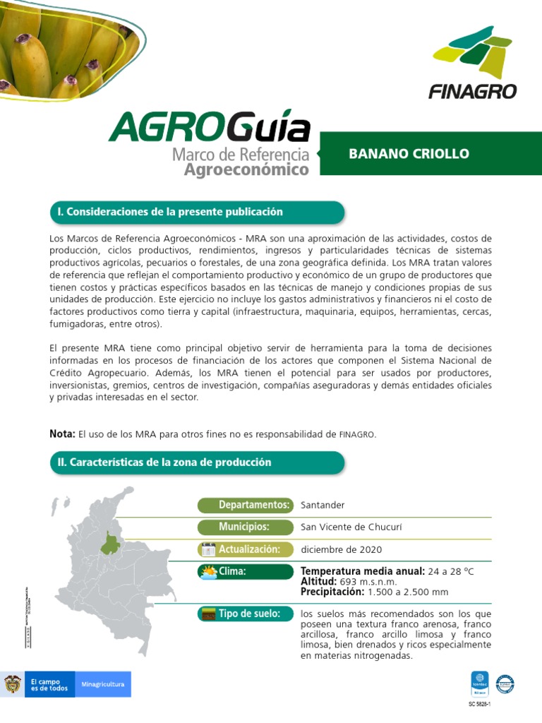 Banano Criollo Santander | PDF | Capital (economía) | Producción y ...
