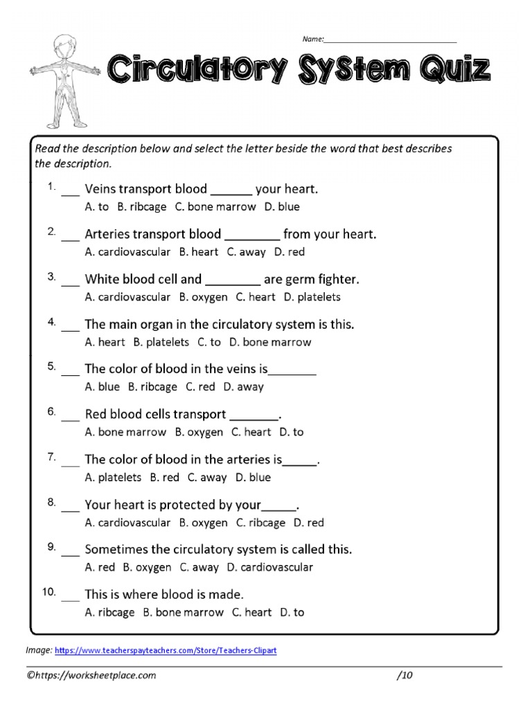 Circulatory System Quiz | PDF