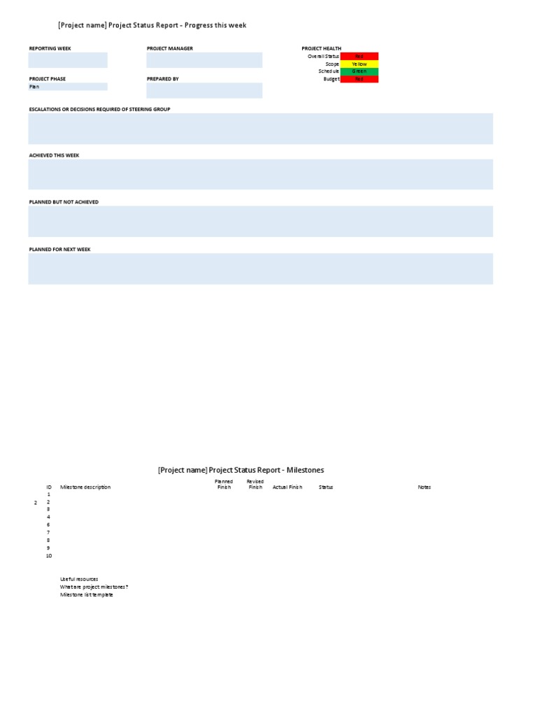Project Status Report Excel | PDF