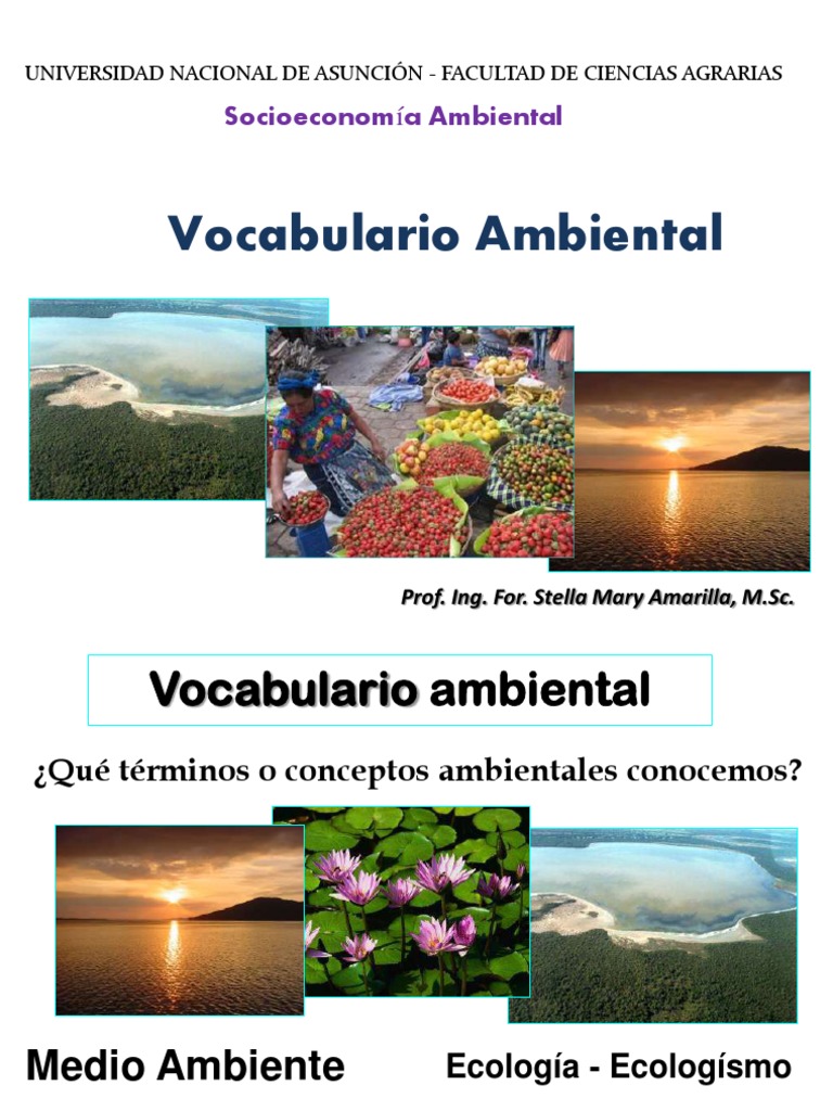 Clase 1 Vocabulario Ambiental GA | PDF | Entorno natural | Sustentabilidad