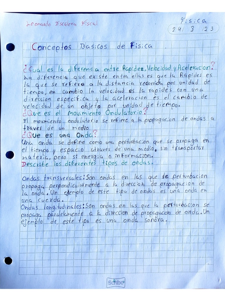 Actividad 2. Conceptos Básicos de Fisica. | PDF