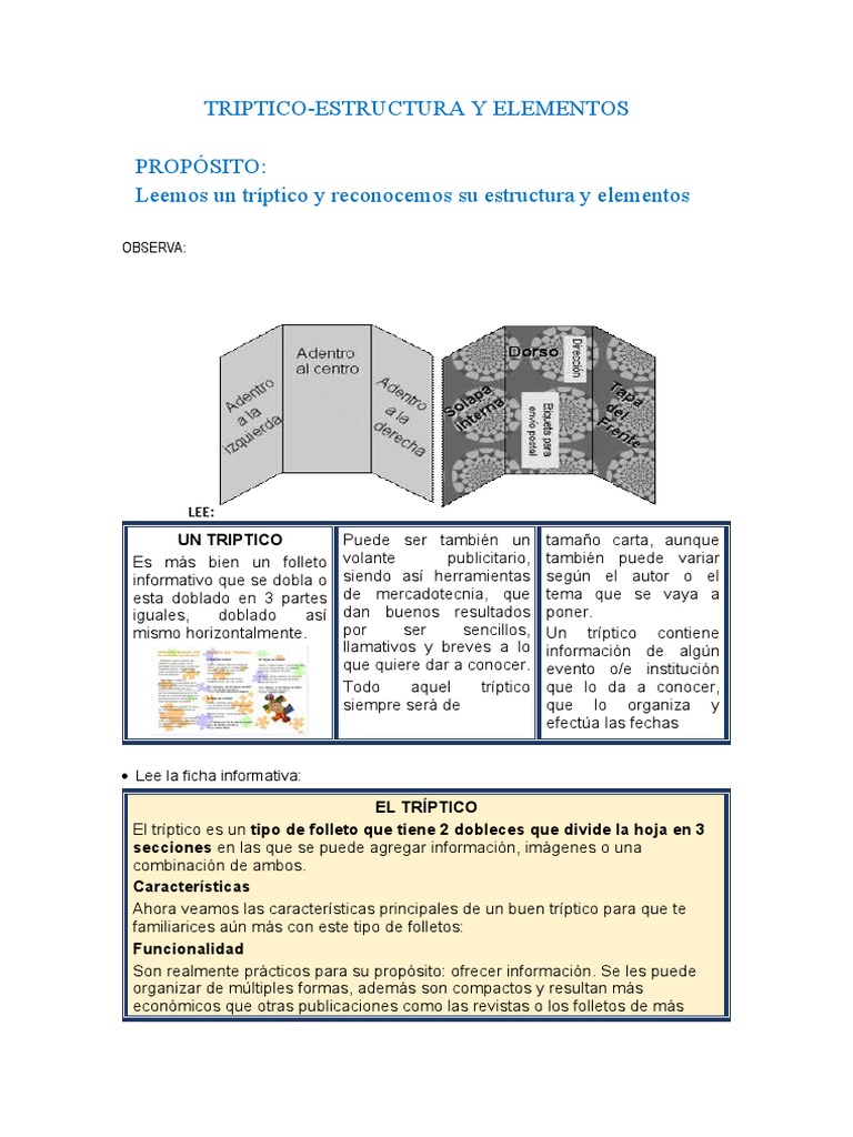 Estructura y Partes del Tríptico | PDF | Internet | Red mundial