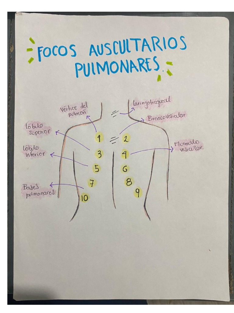 Focos Auscultatorios Pulmonares | PDF