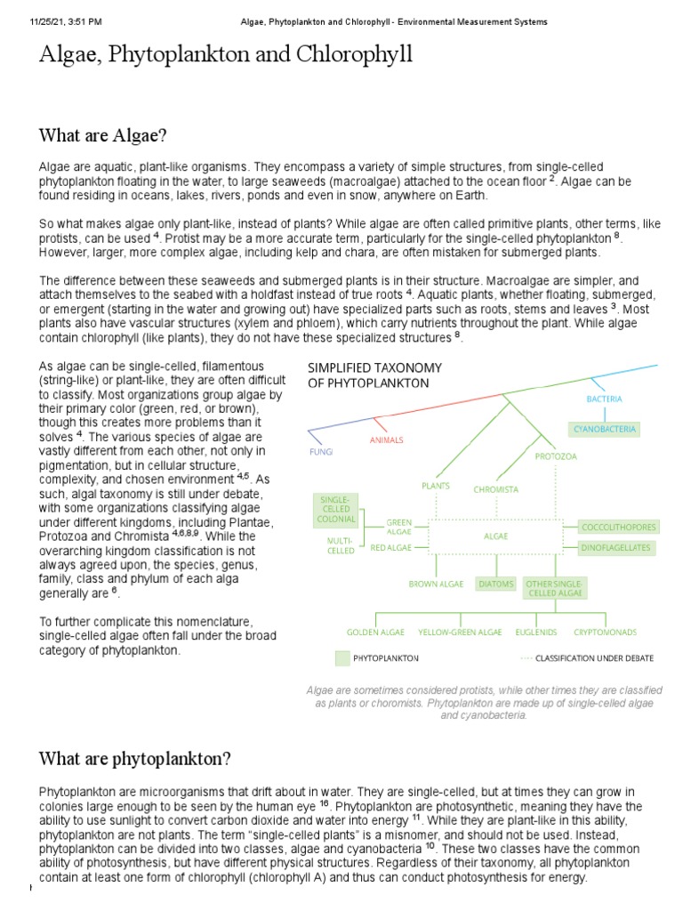 Algae Information Pdf Photosynthesis Phytoplankton