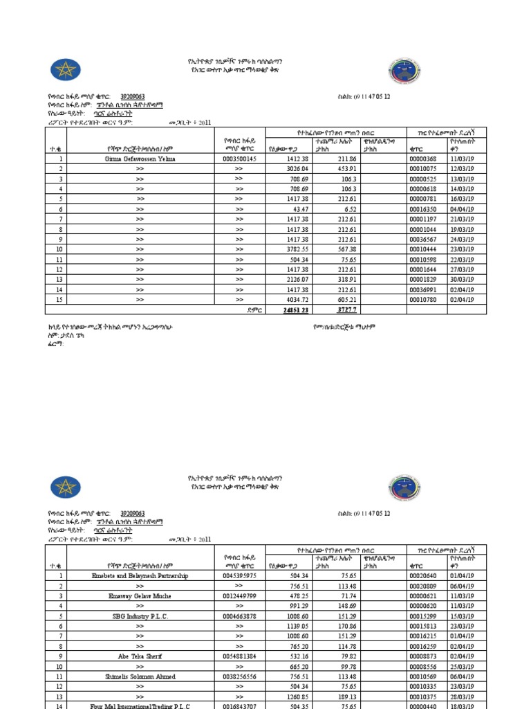 ERCA Megabit VAT 2011 | PDF