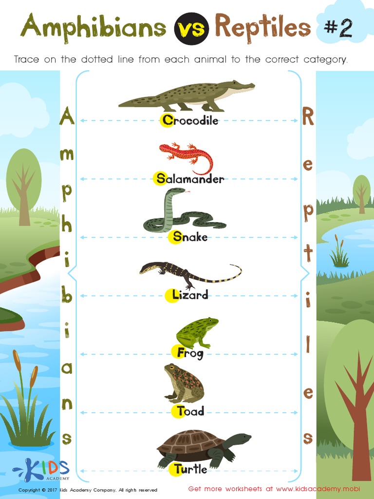 Grade 3 Amphibians Vs Reptiles Worksheet For 3rd Grade | PDF