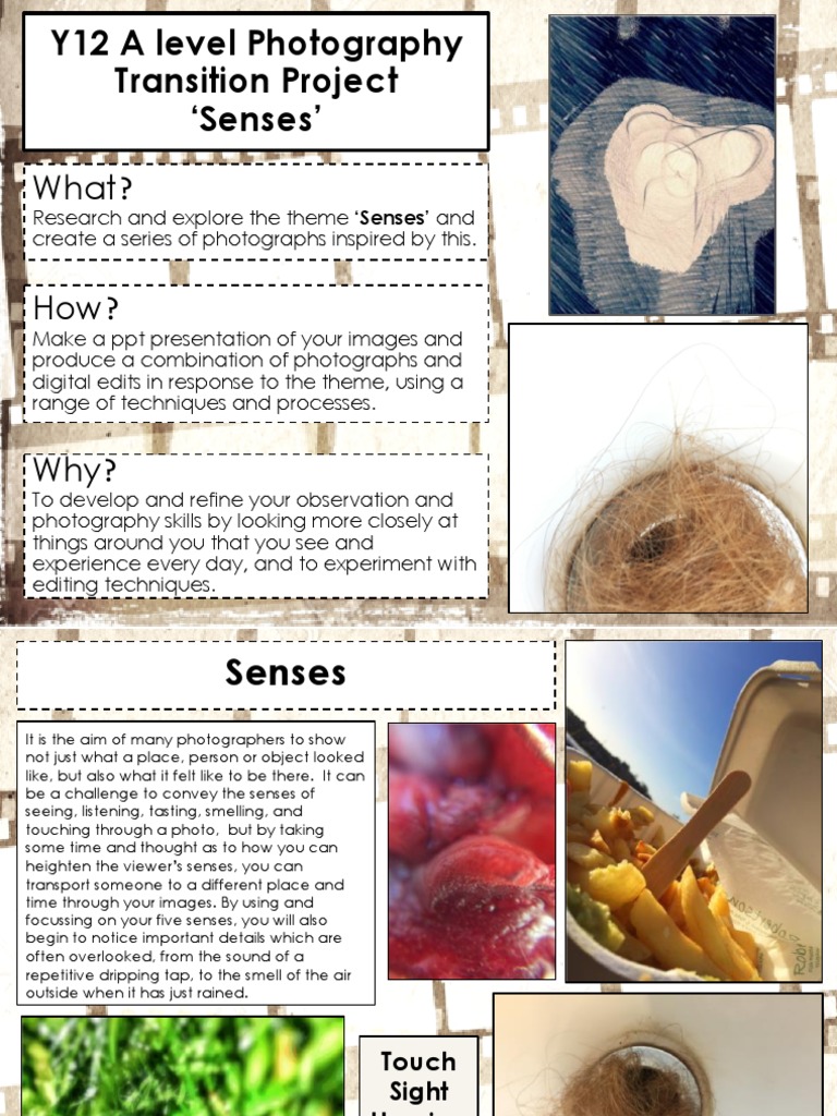 A Level Photography Transition and Summer Project Part 1 | PDF | Senses | Photograph