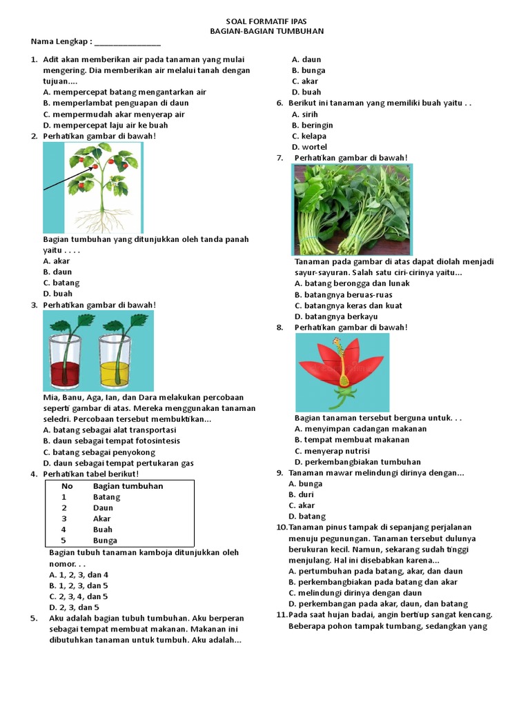 Soal Formatif Ipas Bagian Tumbuhan | PDF