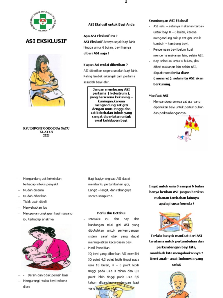 Leaflet Asi Eksklusif | PDF