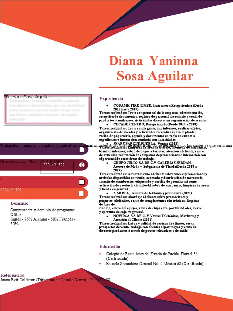 Curriculum Diana Sosa | PDF | Informática