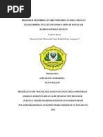Teknik Pemeriksaan CT Thorax | PDF
