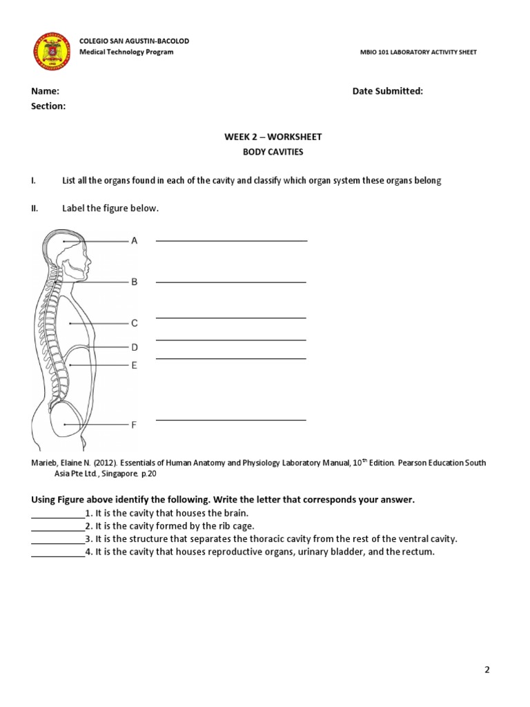 Week 2 WS-Body Cavities and Regions | PDF