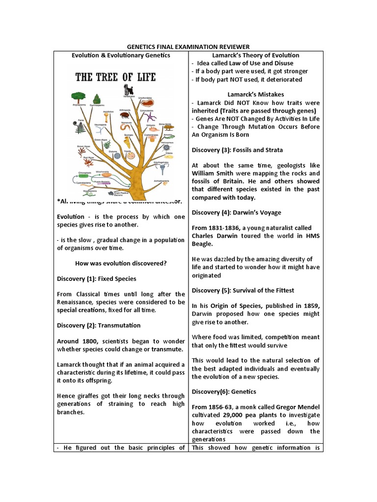 Genetics Evolution Exam Review Guide | PDF | Evolution | Genetics