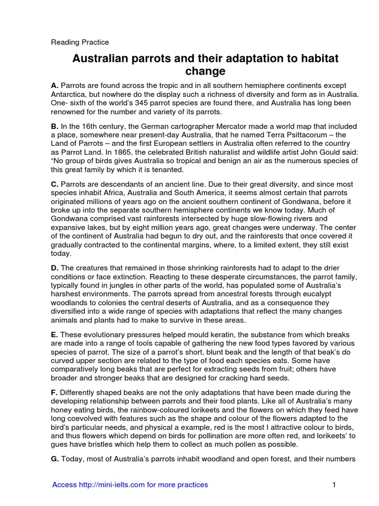 Australian Parrots' Habitat Adaptations | PDF | Parrot | Flowers