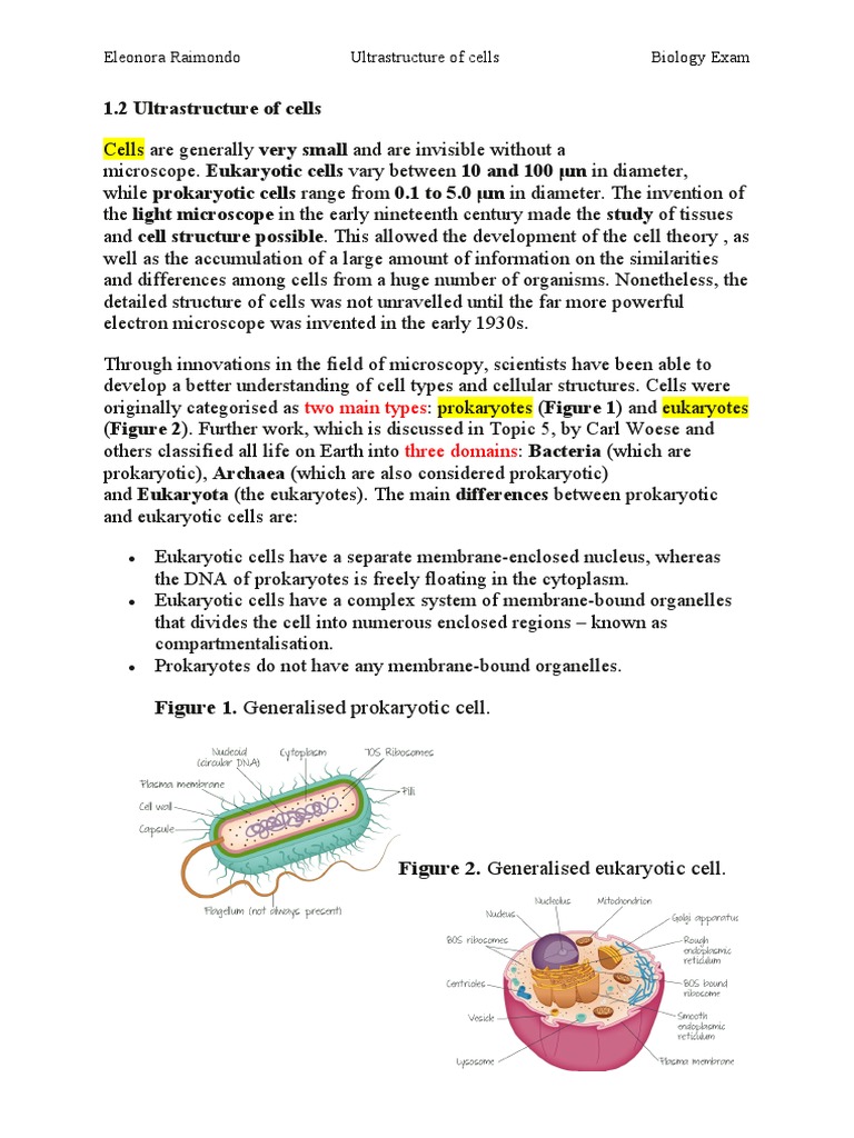 Ultrastructure of Prokaryotic and Eukaryotic Cells | PDF | Cell ...