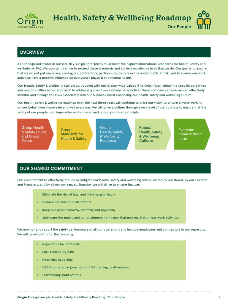 Origin Group HSW Roadmap | PDF | Safety | Risk