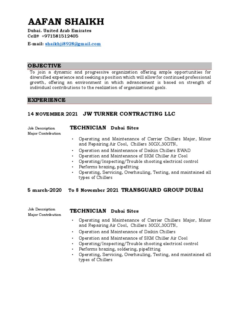 Resume Aafan Shaikh | PDF | Dubai | United Arab Emirates
