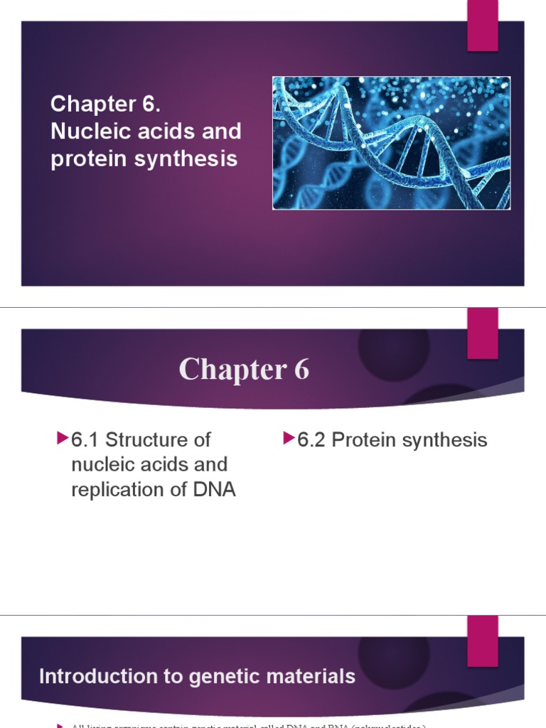 Chapter 6. Nucleic Acid and Synthesis Protein | PDF | Dna | Nucleic Acids