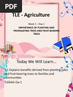 TLE 2nd Week | PDF | Home & Garden