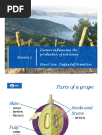 WSET Level 2 Practice Exam Questions | PDF | Wine | Phenolic Content In ...