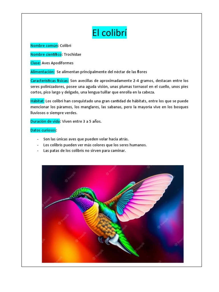 Características del colibrí para niños | PDF | Ciencia y matemáticas