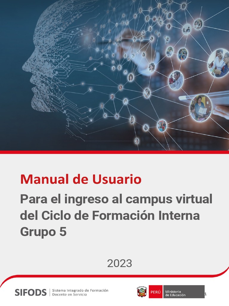 Manual Ingreso Al Cfi 2023 PDF | PDF | Informática | Software