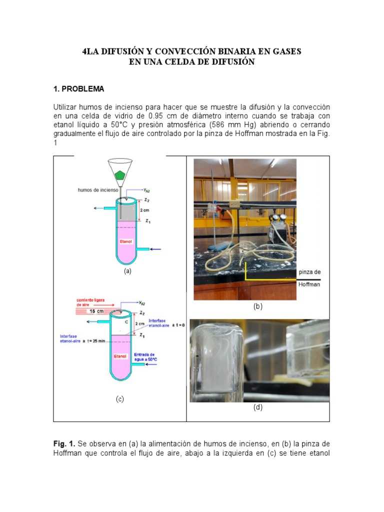 1 Difusión y Convección Binaria en Gases (Liq-III) Esta en Amyd | PDF ...