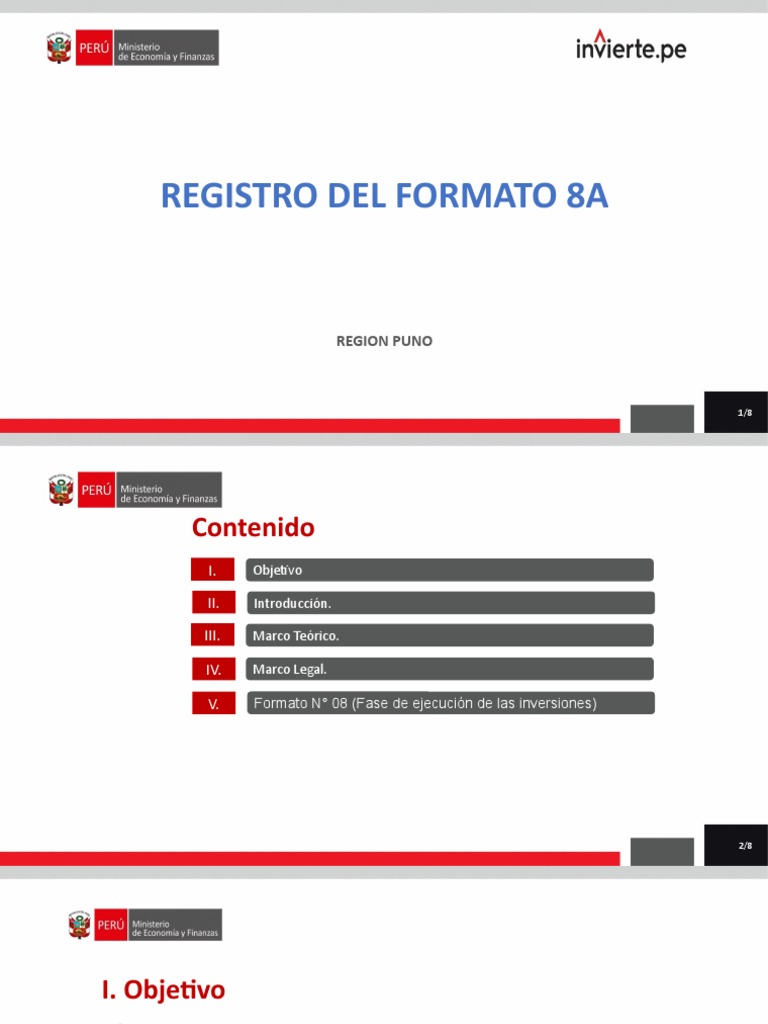 REGISTRO FORMATO 8A | PDF
