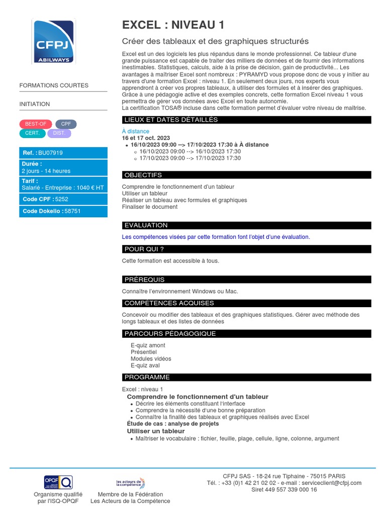 Excel Niveau 1 | PDF | Microsoft Excel | Feuille de calcul