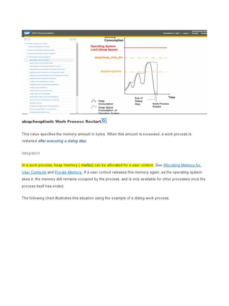 Heap Limit SAP | PDF