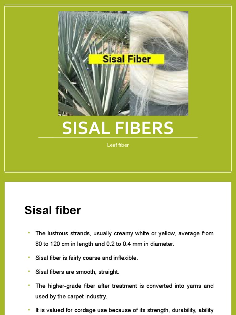 Sisal Fiber | PDF | Pulp (Paper) | Textiles