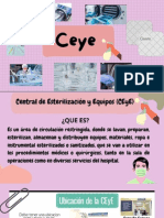 Funciones y Estructura de CEYE en Enfermería | PDF | Hospital