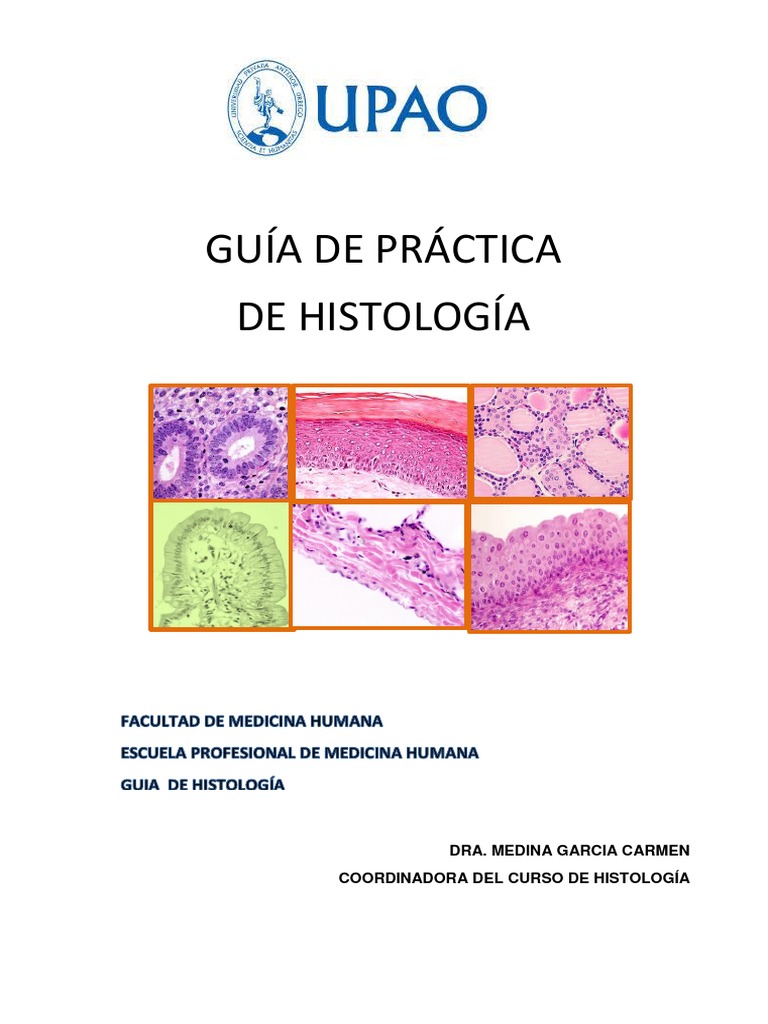 Guía de Práctica de Histología | PDF | Cartílago | Hueso