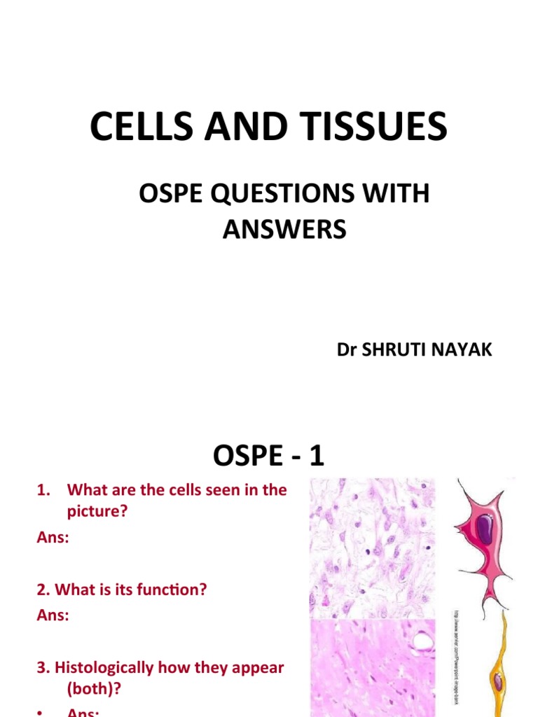 1.1 OSPE - Cells and Tissues | PDF | Bone | Cell Biology