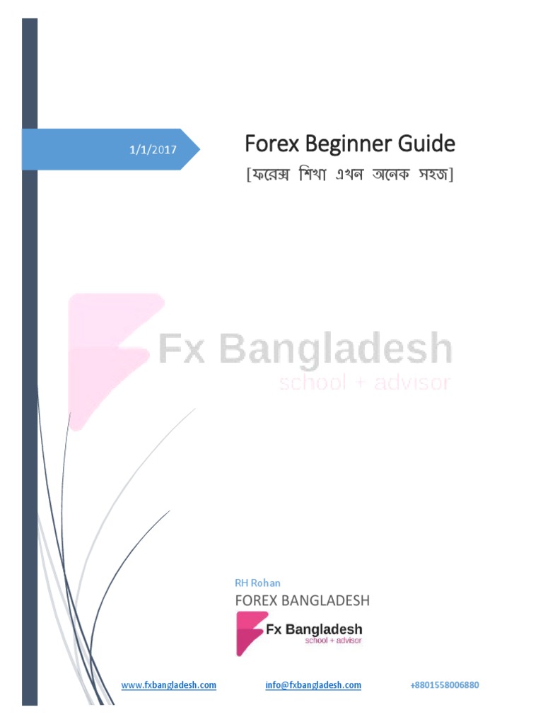 Forex Begineer Guide | PDF