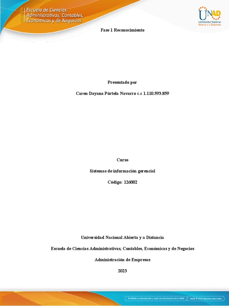 Actividad 1 - Caren | PDF | Información | Sistema de informacion