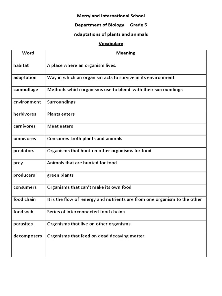 Plant and Animal Adaptations Guide | PDF | Food Web | Desert