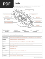 Specialised Cells Worksheet | PDF | Cell (Biology) | Blood
