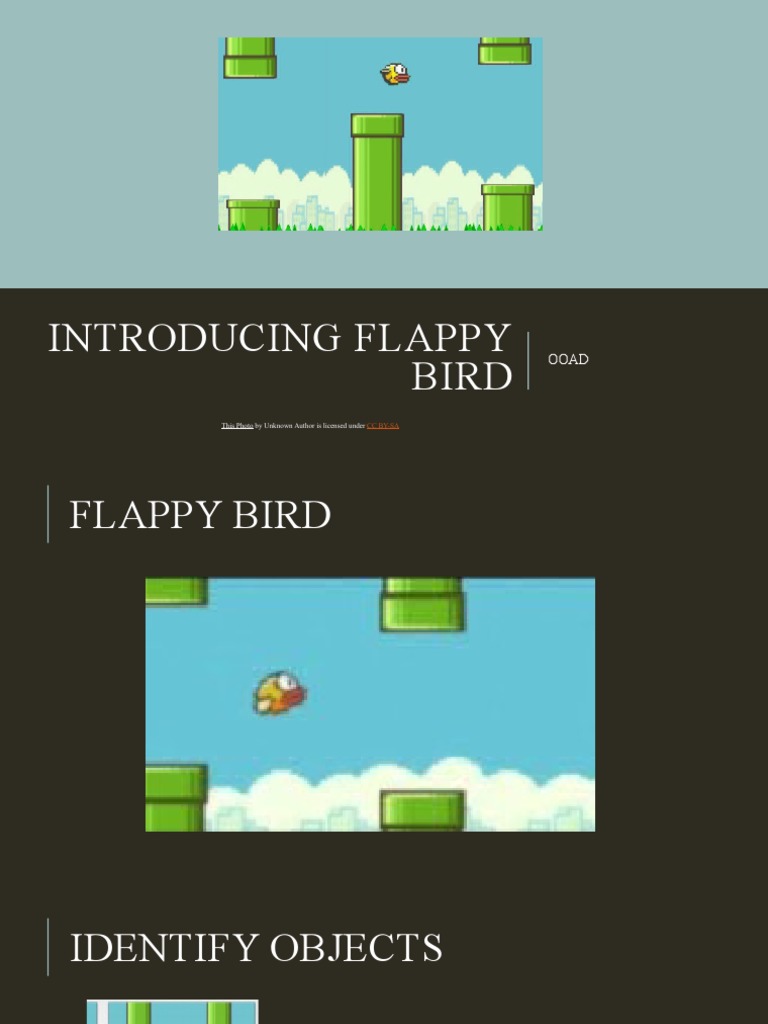 Flappy Bird Gameplay and Object Guide | PDF | Law