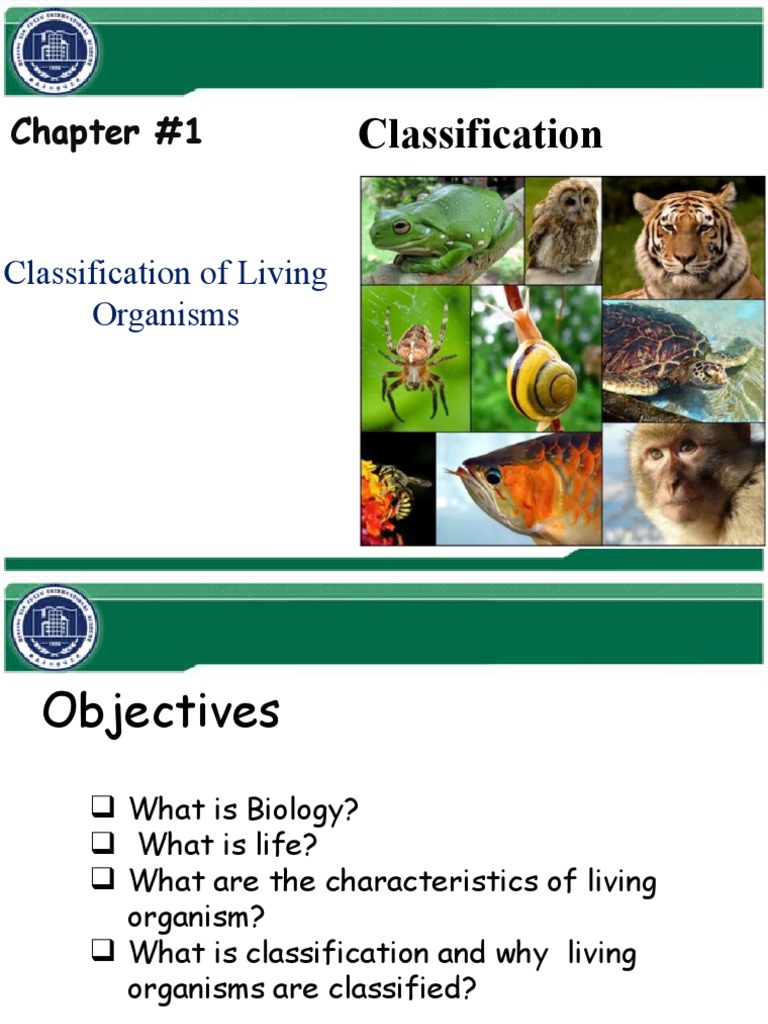 Classification Chapter 1 1 1 1 7 Pdf Plants Cell Biology